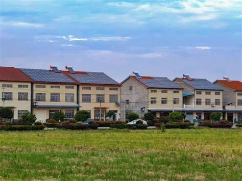 Longi Hi Mo X Scientist Lr Hth M Solar Panels Frame Mm High Power Generation