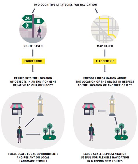 Egocentric And Allocentric Processes Of Navigation 15 Download Scientific Diagram