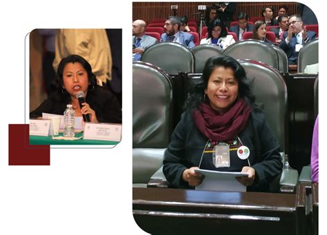 Dip Inés Parra Juárez Lxv Legislatura