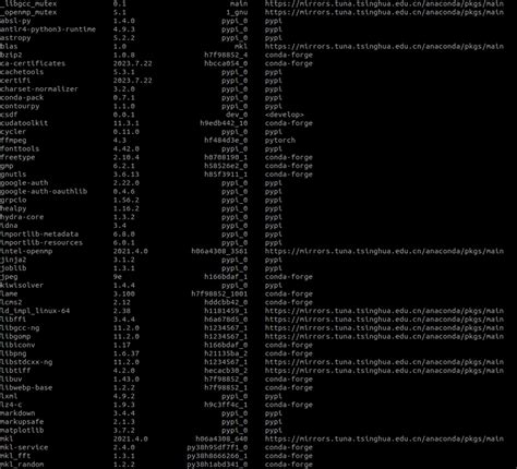 Bad Allocate And PyTorch Cannot Allocate Memory Issue PKU EPIC UniDexGrasp GitHub