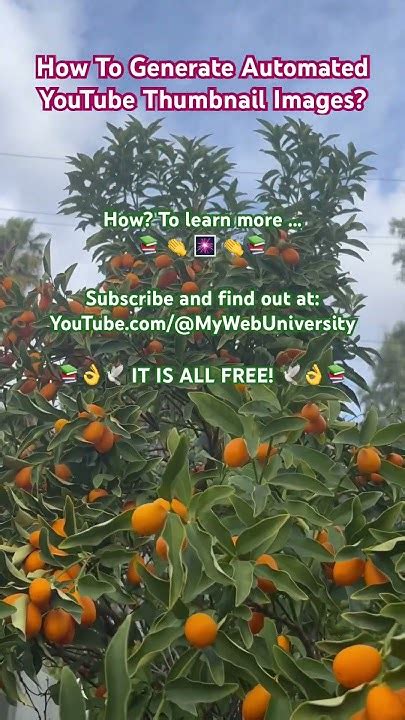 Create Beautiful Youtube Thumbnail Images Using My Python Automated Script📚 ️📚 Youtube