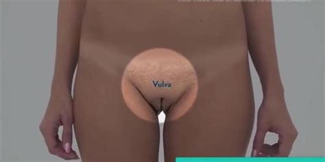 Real Female Anatomy Visual Examination Of The Vulva Tnaflix Com