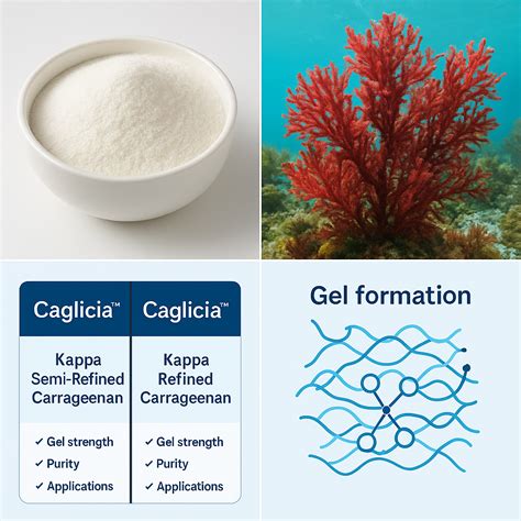 Kappa Carrageenan