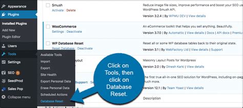 Reset Wordpress Database A Step By Step Guide To Fresh Start Digital