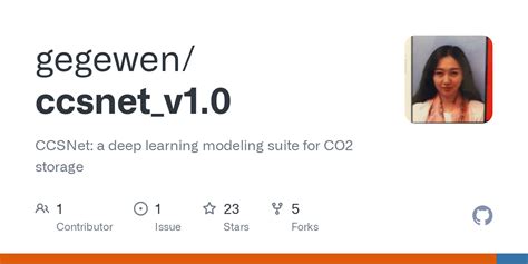 GitHub Gegewen Ccsnet V1 0 CCSNet A Deep Learning Modeling Suite For CO2 Storage