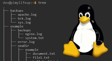 How To Use The Df Command In Linux Pi My Life Up