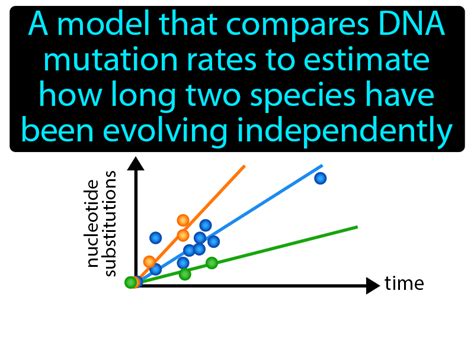 What Is A Molecular Clock At Amy Curley Blog