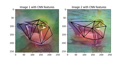 Paddle Backend Example Matching Image Keypoints By Qap Solvers — Pygmtools Documentation