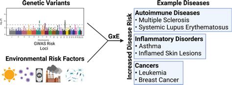 Gene Environment Interactions And Their Impact On Human Health Pubmed