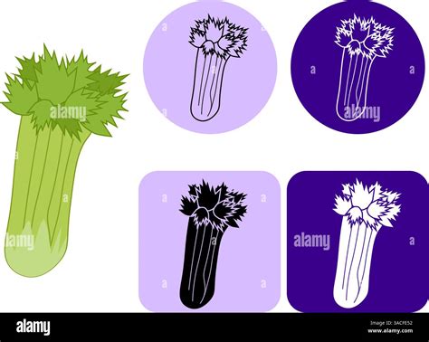 Celery Icon Linear Logo Mark In Black And White Vector Flat Line Illustration For Package