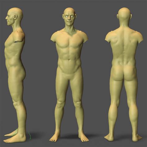 Making Base Mesh Anatomy Critiques Polycount