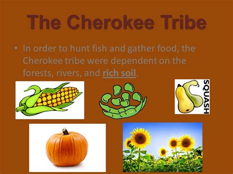 Food That The Cherokee Ate