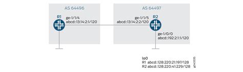 멀티프로토콜 Bgp Junos Os Juniper Networks
