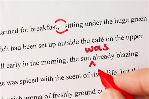 check for grammar punctuation and formatting errors by ignaciomuniz