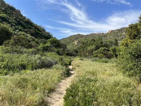 Best Waterfall Trails In Laguna Coast Wilderness Park Alltrails