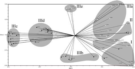 Graphical Projection Of The Unweighted Pair Group Method Using Download Scientific Diagram