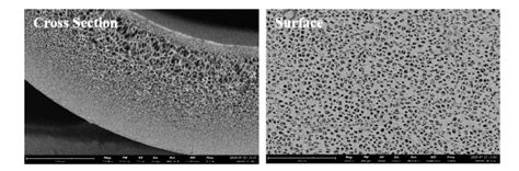 Membrane Solutions Pfas Free Pes Membrane Addressing The Eu Pvdf Ban