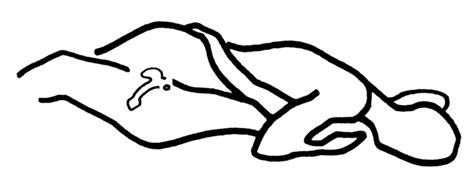 Can Someone Explain The Coital Alignment Technique In A Way That I Can Actually Understand R Sex