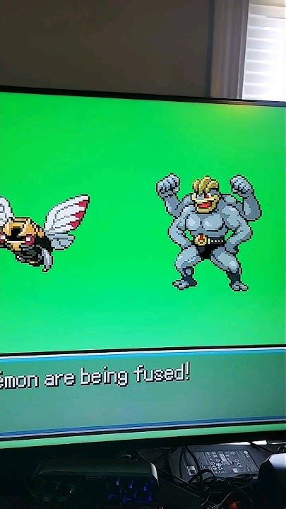 Pokémon Infinite Fusion Machamp Ninjask Youtube