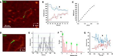 Unidirectional Processive Movement Of A Short Chain Along A Chiral Download Scientific Diagram