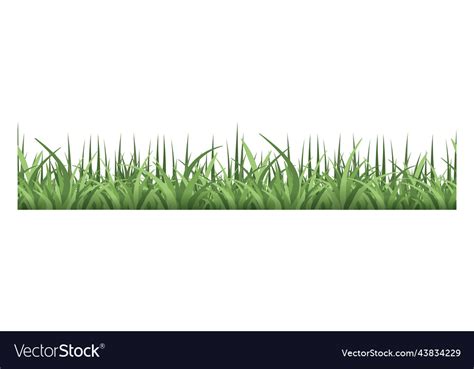 Horizontal Grass Border Fresh Natural Garden Lush Vector Image
