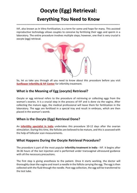 Ppt Oocyte Egg Retrieval Everything You Need To Know Powerpoint