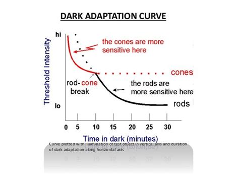 Light And Dark Adaptation Chinnu