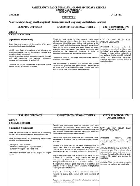 New Grade 10 Scheme Of Work Pdf Photosynthesis Osmosis
