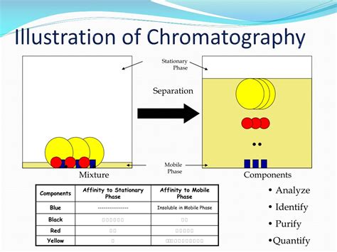 PPT Lab 6 Chromatography PowerPoint Presentation Free Download ID 9071828