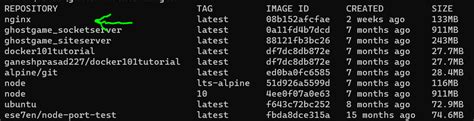 Docker Container For NGINX GeeksforGeeks