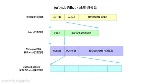 Boltdb 130实现分析（二） Codedump的网络日志
