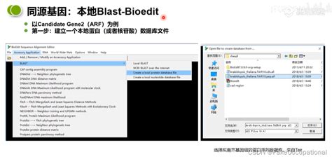 生物化学 单个基因生物信息学分析笔记单个基因的生物信息学分析 Csdn博客