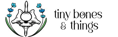 Tiny Bones And Things Tiny Bones And Things