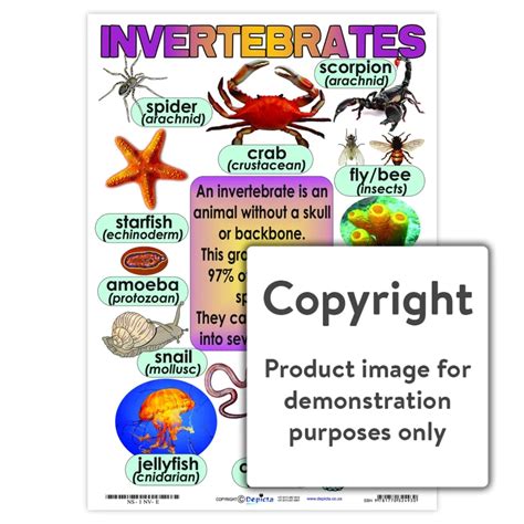 Invertebrates Chart Play Babe Room CC