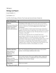 Study On The Ecology Of Protists Ancient Oceans Virtual Lab Course Hero