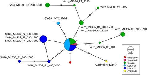 Whole Genome Consensus Sequence Network Shows That Veev Tc 83 Evolves