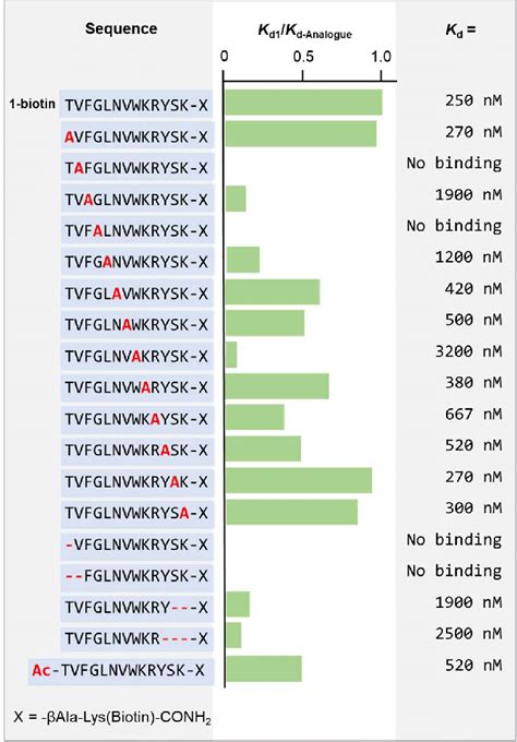 Alanine Scanning And Sequence Truncations Of 1 Reveal Binding Hotspots
