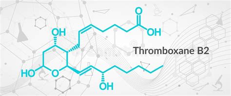 Thromboxane B2 Biomolecule Molecular Formula Skeletal Molecule