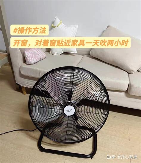 用什么方法去甲醛又快又安全
