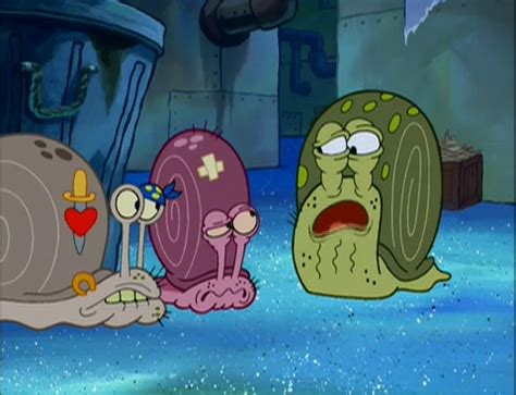 Spongebuddy Mania Spongebob Episode Have You Seen This Snail