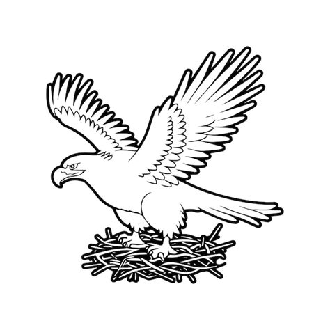 Premium Vector Eagle Coloring Pages Eagle Bird Outline Vector For