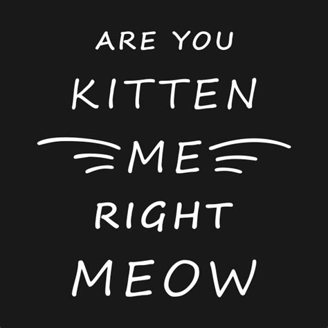 Are You Kitten Me Right Meow Are You Kitten Me Right Meow T Shirt