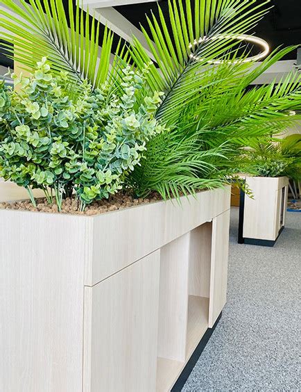 Купить мебель с искусственными растениями недорого с подсветкой у нас