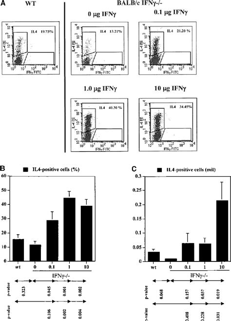 Figure 7 From Interferon γ Enhances Both In Vitro And In Vivo Priming Of Cd4 T Cells For Il 4