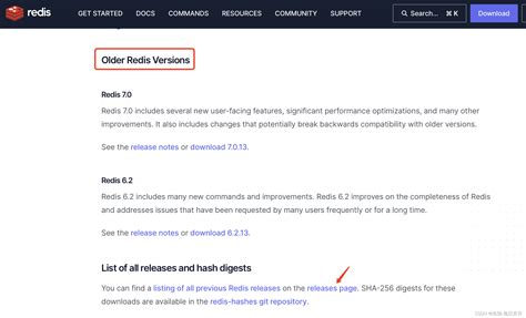 reids的安装使用 reidis下载 csdn博客