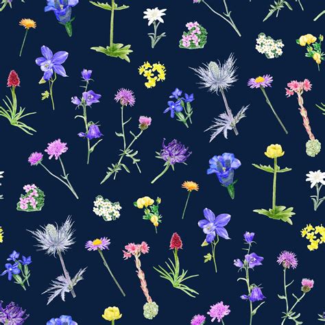 Art Shop — Alpine Tones Illustration