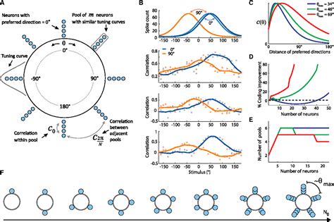 Figure 8 From Structures Of Neural Correlation And How They Favor