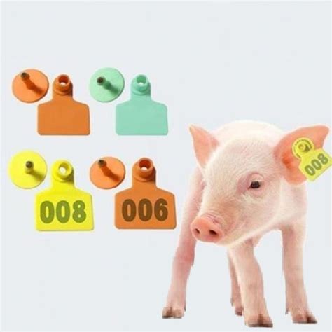 Veterinary Instrument Identification At Walter Mcglothlin Blog