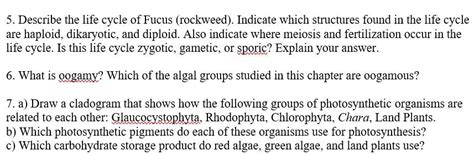 Solved 5 Describe The Life Cycle Of Fucus Rockweed