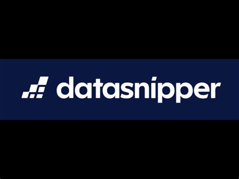 Datasnipper Ai Review Ai Driven Auditing And Data Extraction Tool